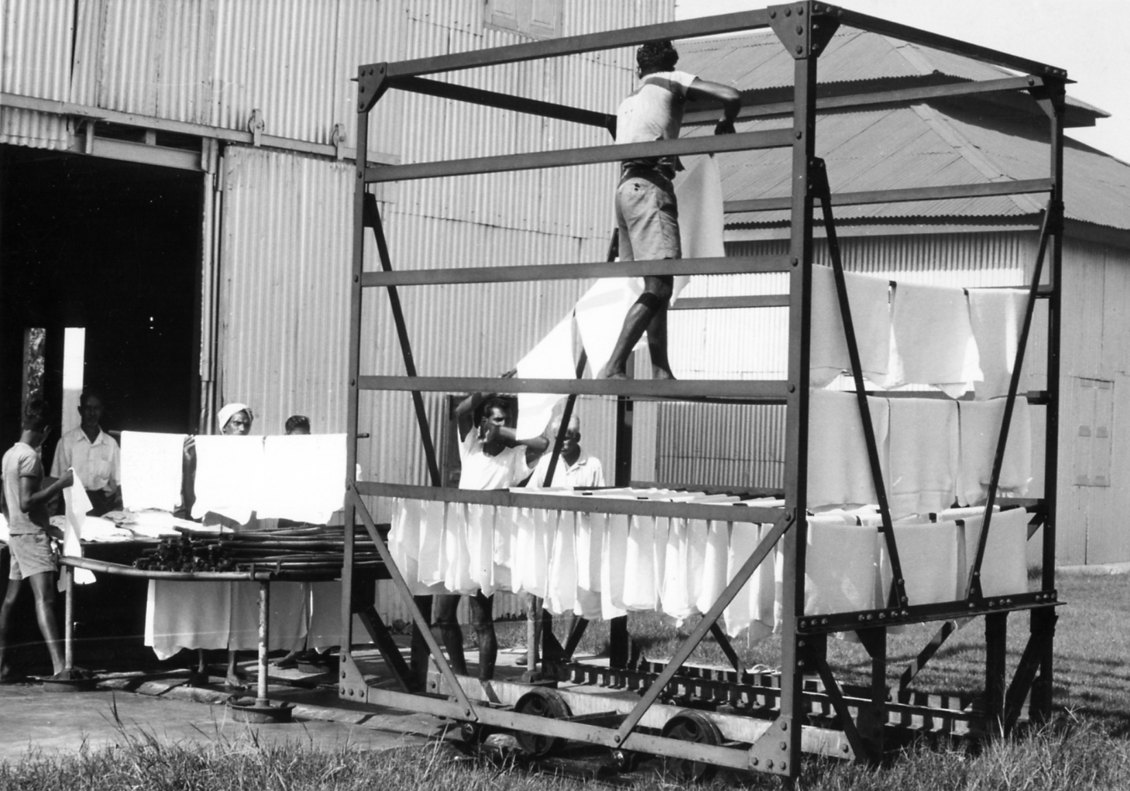 History & Milestones – United Plantations Berhad