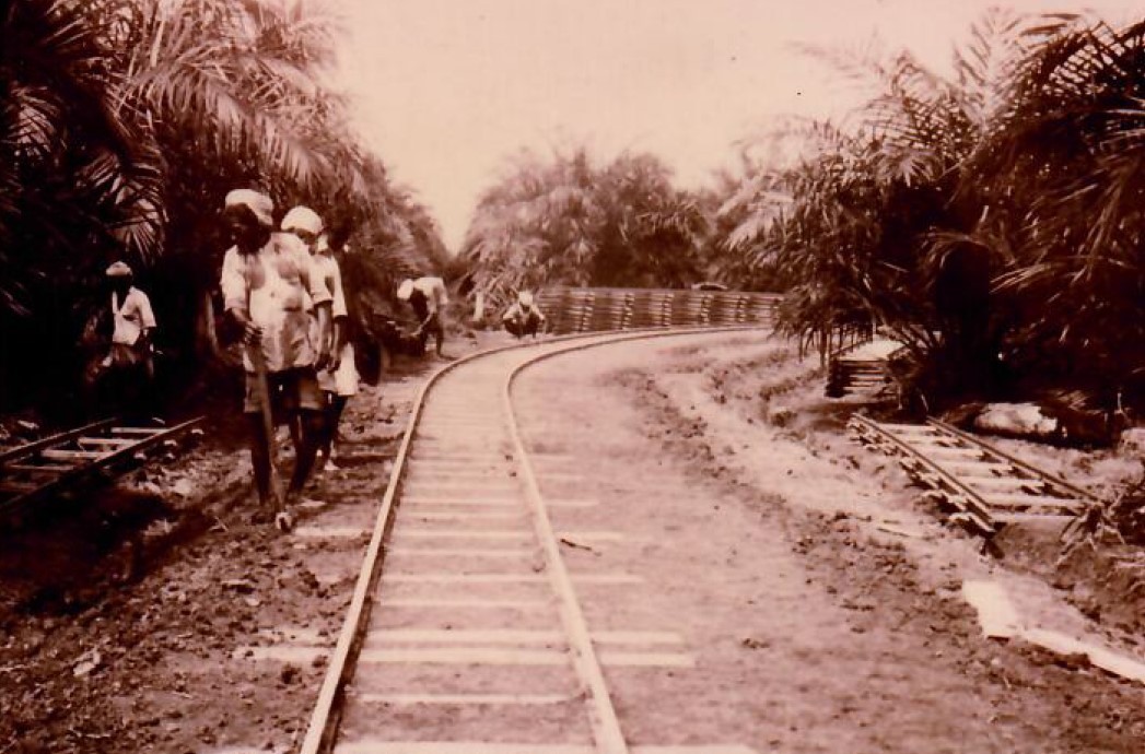 History & Milestones – United Plantations Berhad