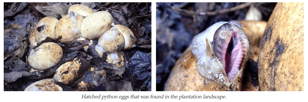 Environment – United Plantations Berhad