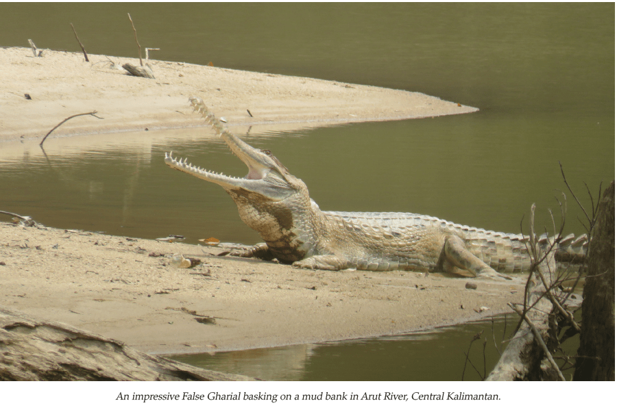 Environment – United Plantations Berhad