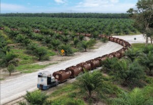 UP – United Plantations Berhad